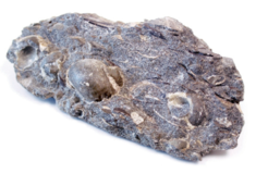 Rock and Roll or Sedimentary Rocks -- KnowBC - the leading source of BC ...